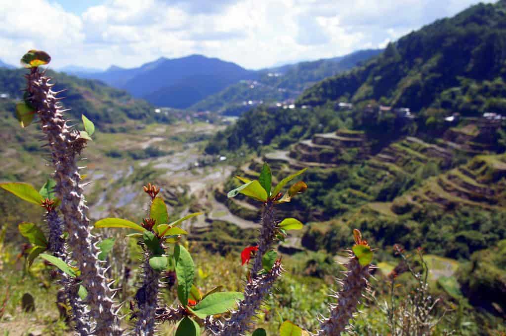 Stunning Scenery of Rice Terraces in Banaue, the Philippines | Etramping