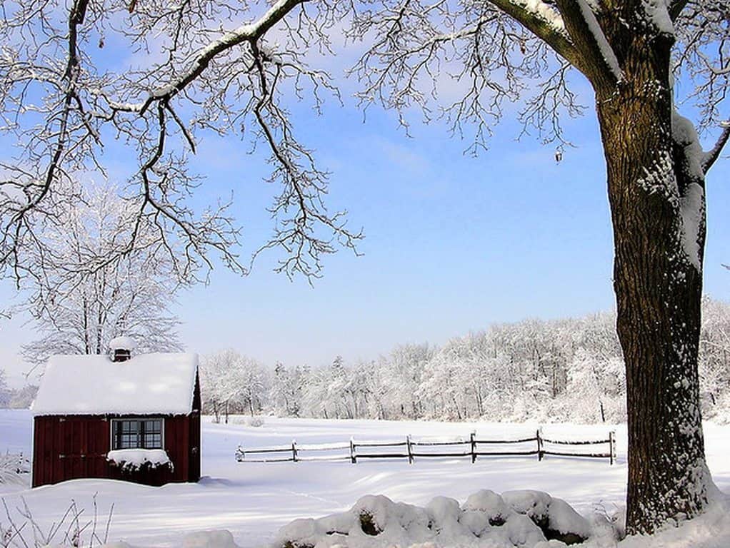 Booking Your Winter Getaway: The Perils And Pitfalls | Etramping
