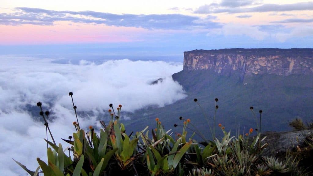 Exploring Venezuela for Less Than $50/Week | Etramping