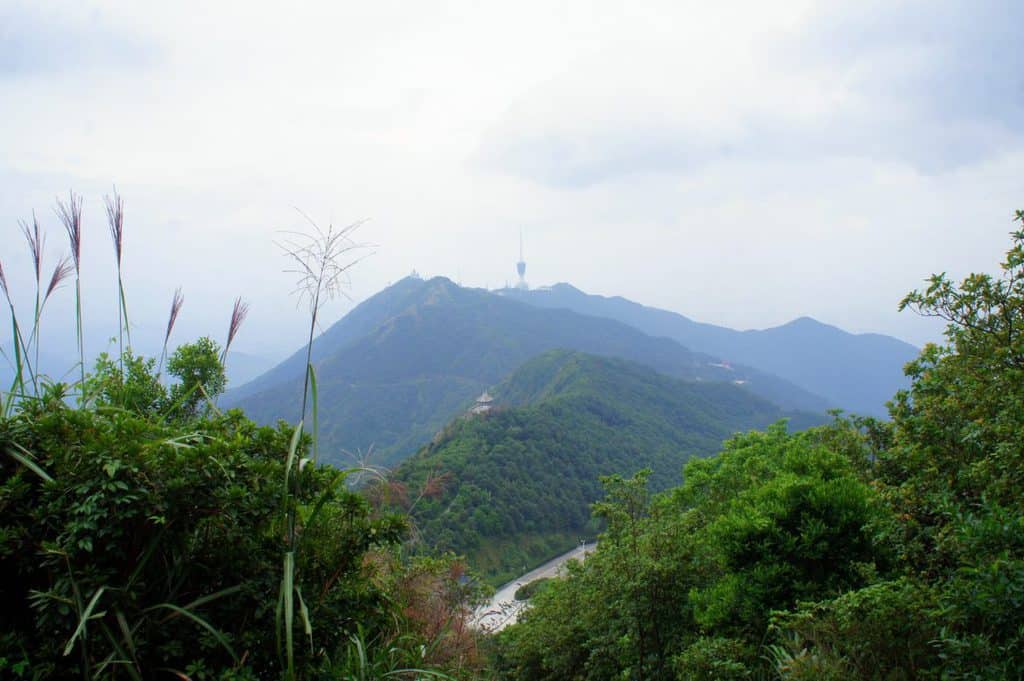 Best Hiking Tips for Climbing Mount Wutong, Shenzhen | Etramping