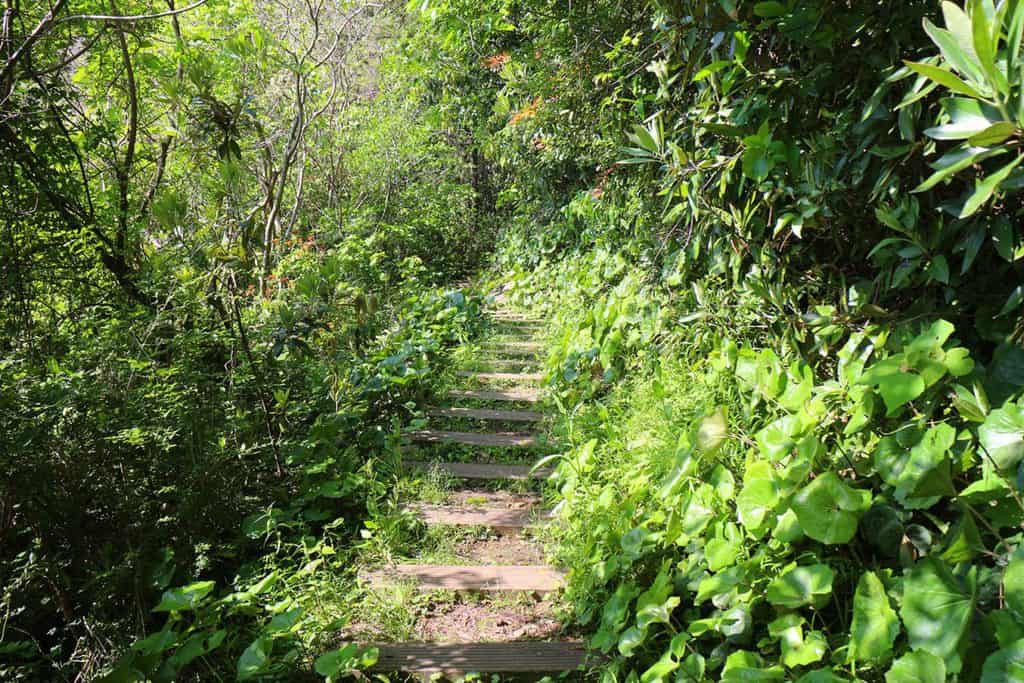 7-Day South Korea Hiking Guide | Etramping