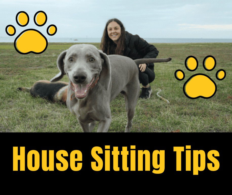 How to Best Get Your First Set of References For Your House Sitting ...