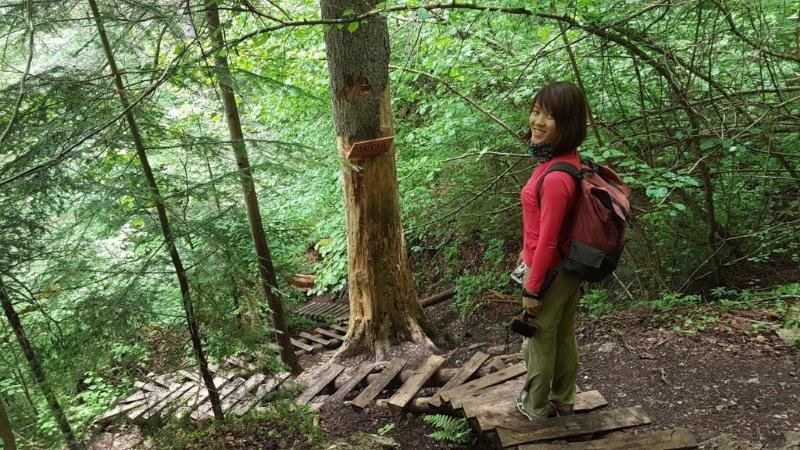 7-Day South Korea Hiking Guide | Etramping